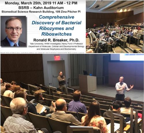 2018-2019 RNA Seminars - Center for RNA Biomedicine