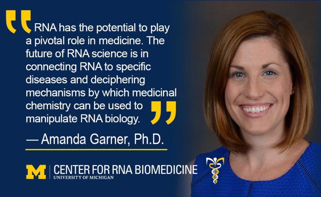 RNA Faculty Spotlight – Amanda Garner, Medicinal Chemistry, College of ...