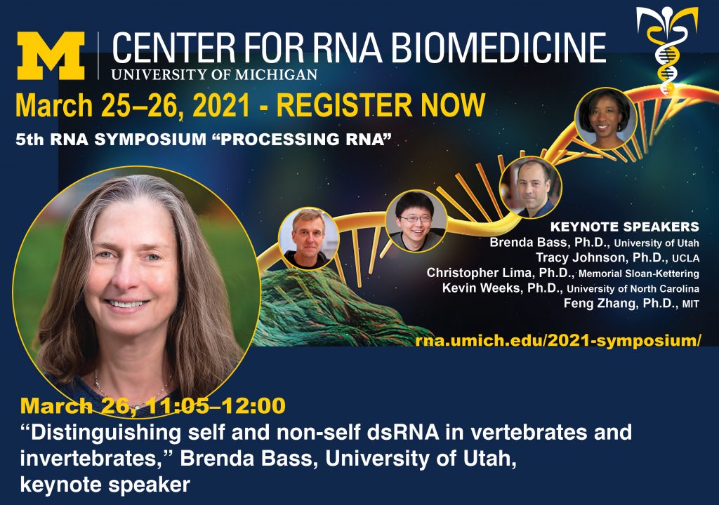 Brenda Bass, Ph.D. - Keynote speaker, 2021 RNA Symposium - Center for ...