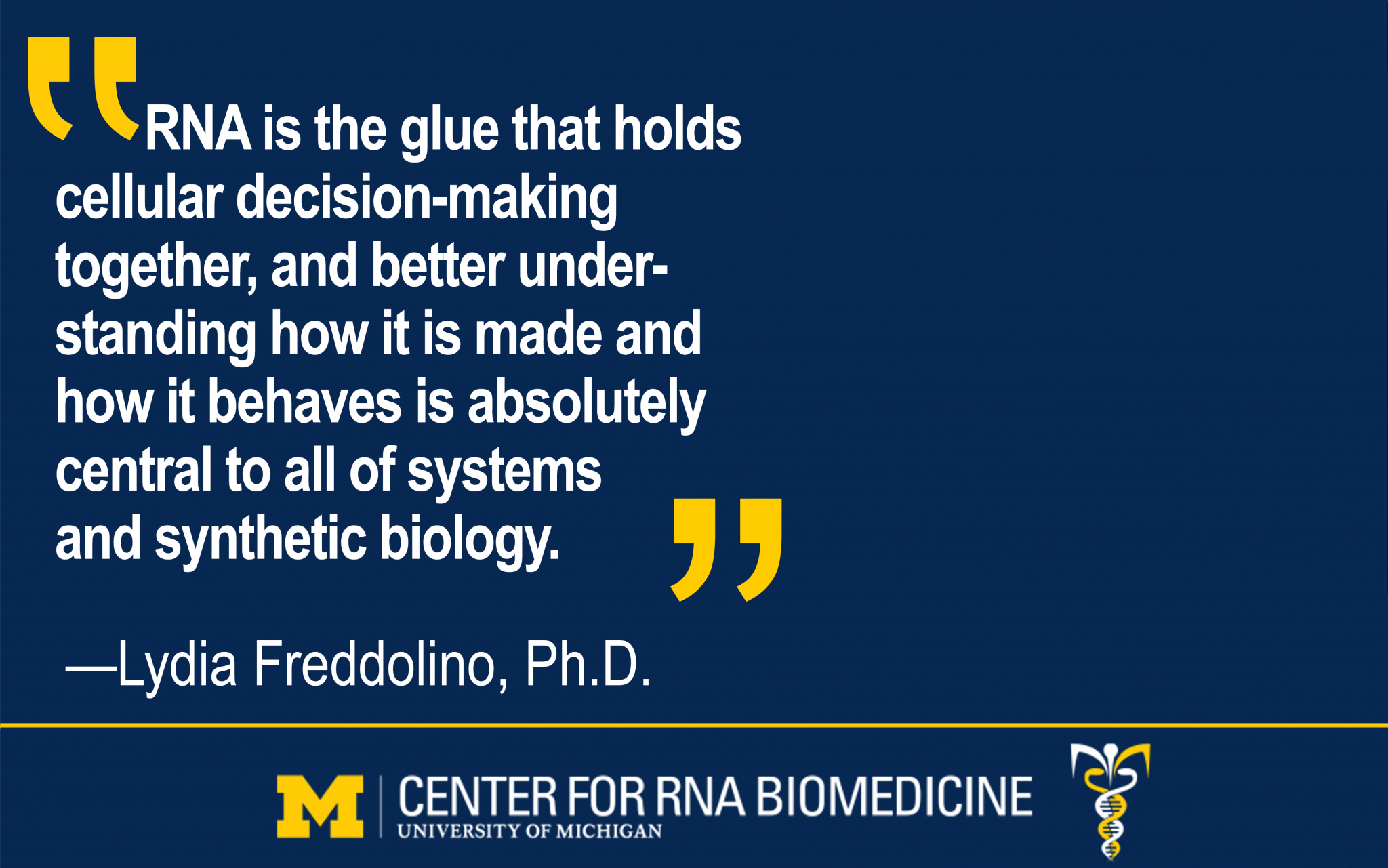 RNA Featured Researcher - Lydia Freddolino, Biological Chemistry ...