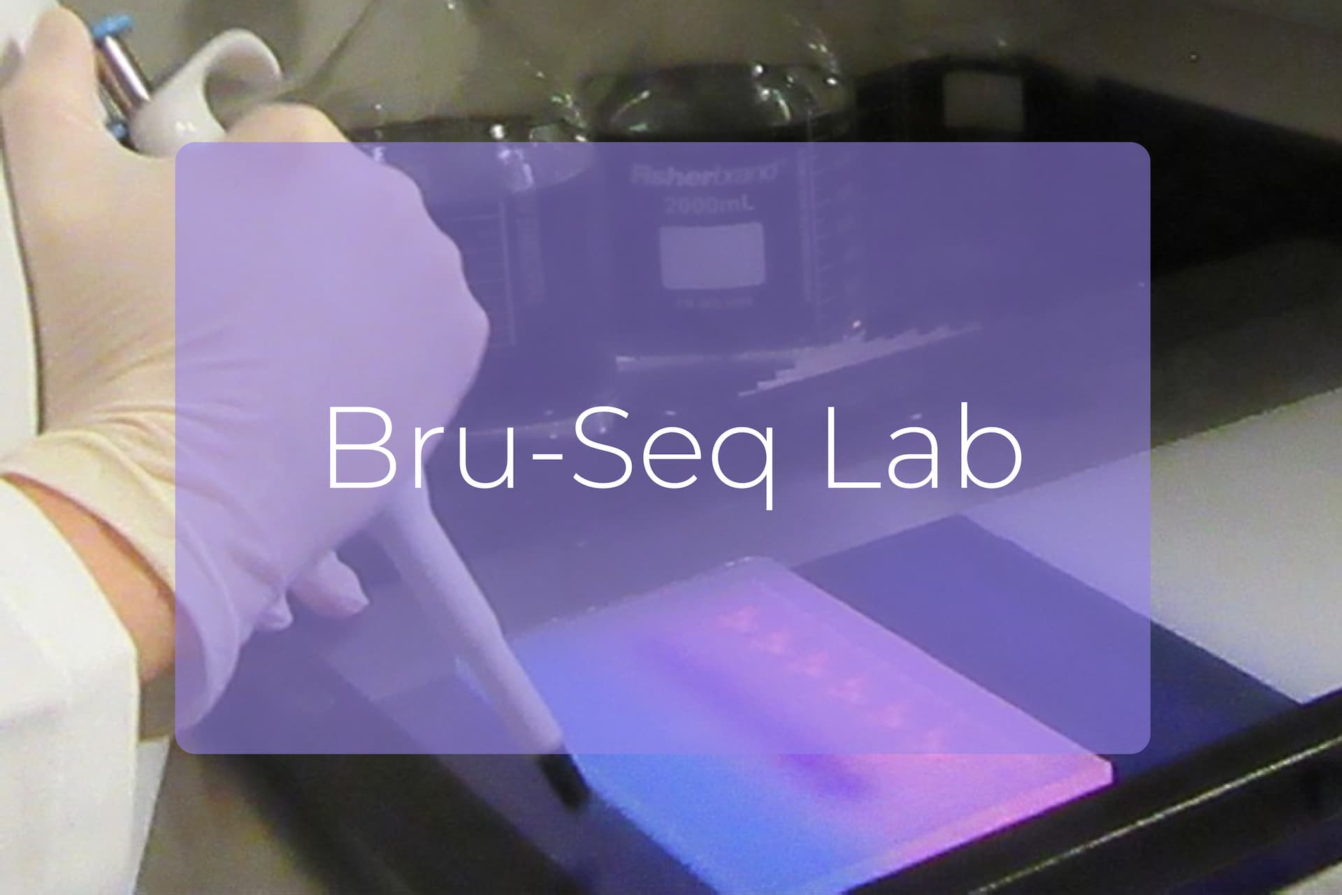 Home - Center for RNA Biomedicine