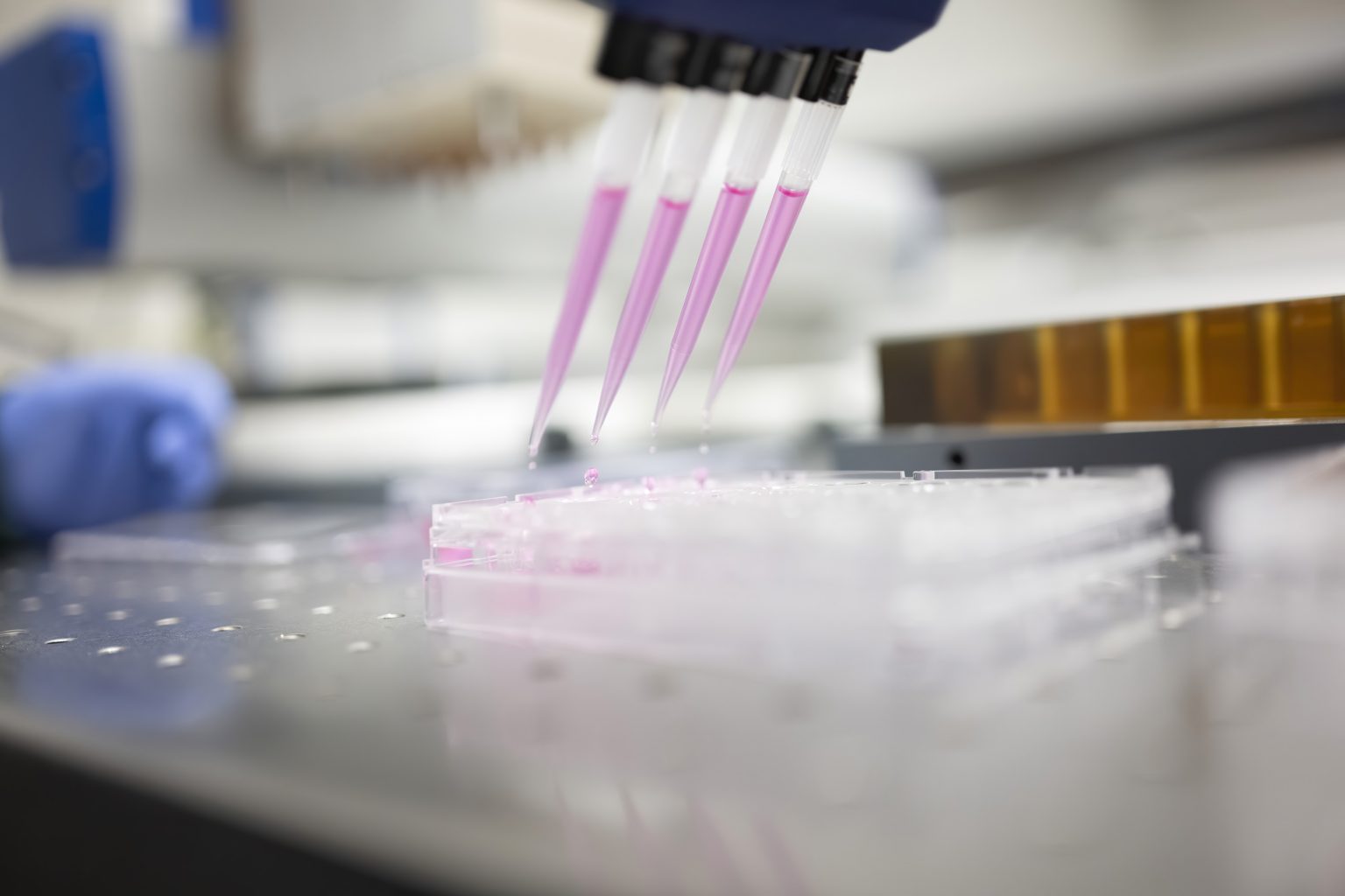 U-M Researchers Collaborate on $3 Million Grant to Treat Rare Forms of Cystic Fibrosis - Center ...