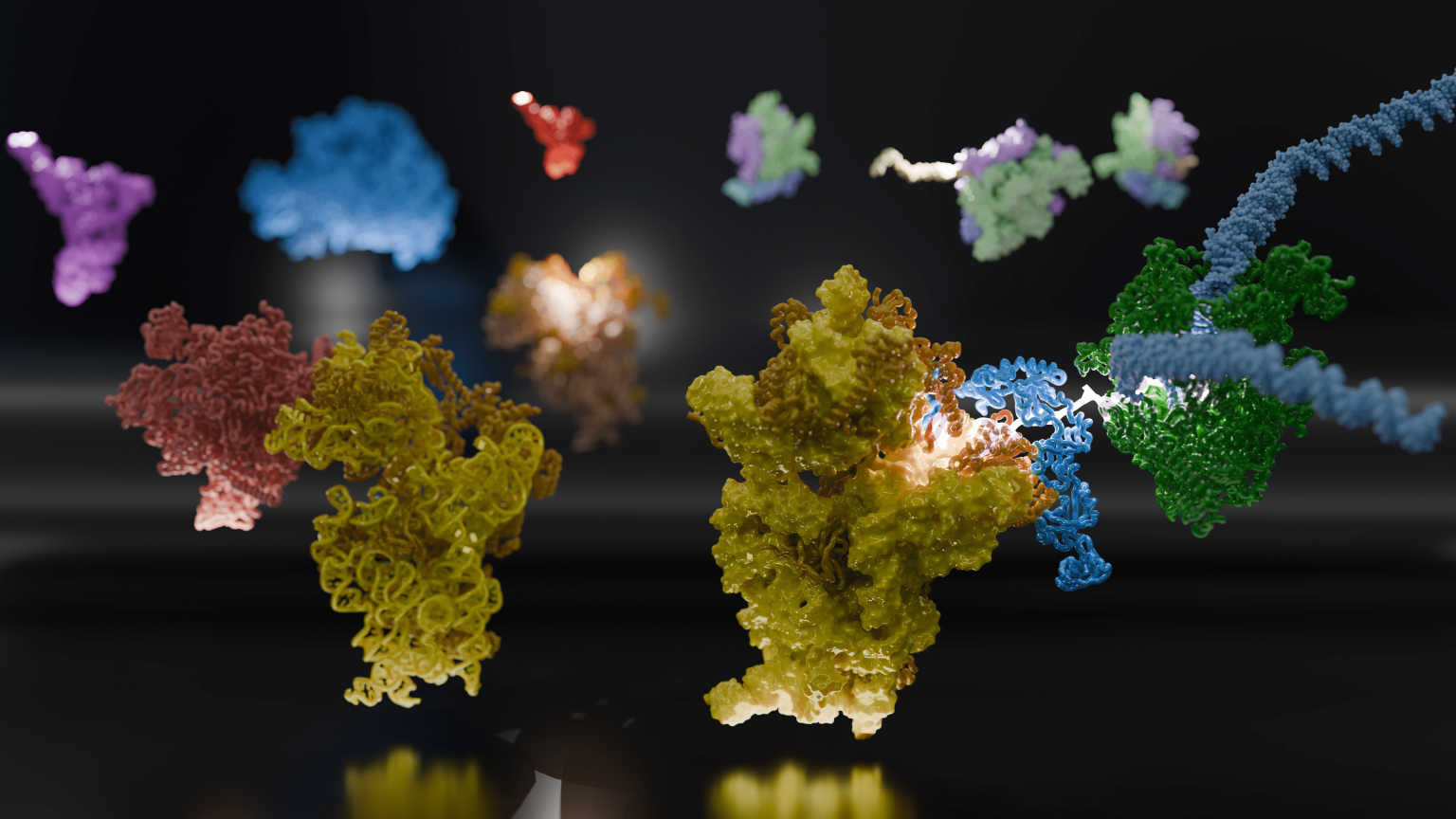 U-M and multinational coalition of scientists reveal ribosome-RNA ...